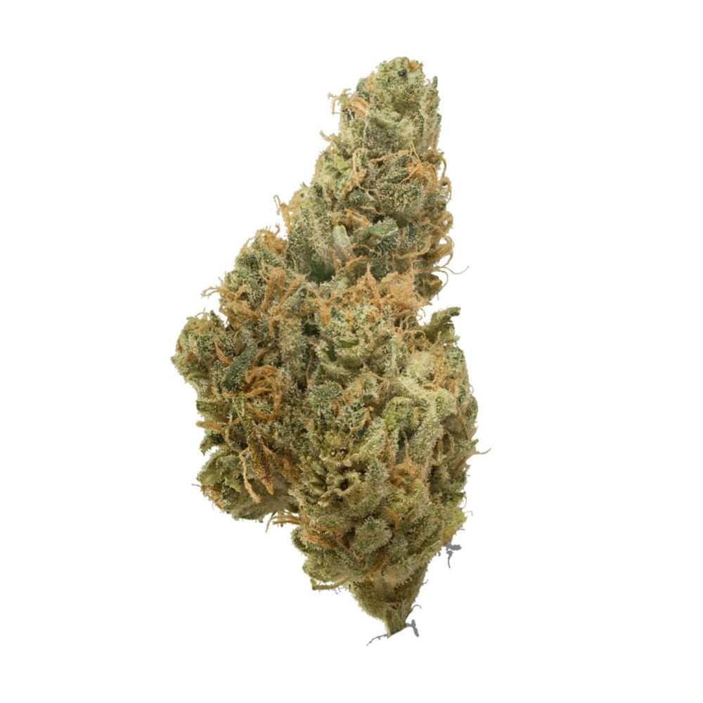 Grow Any Strains with Hey abby Grow Box – Page 2