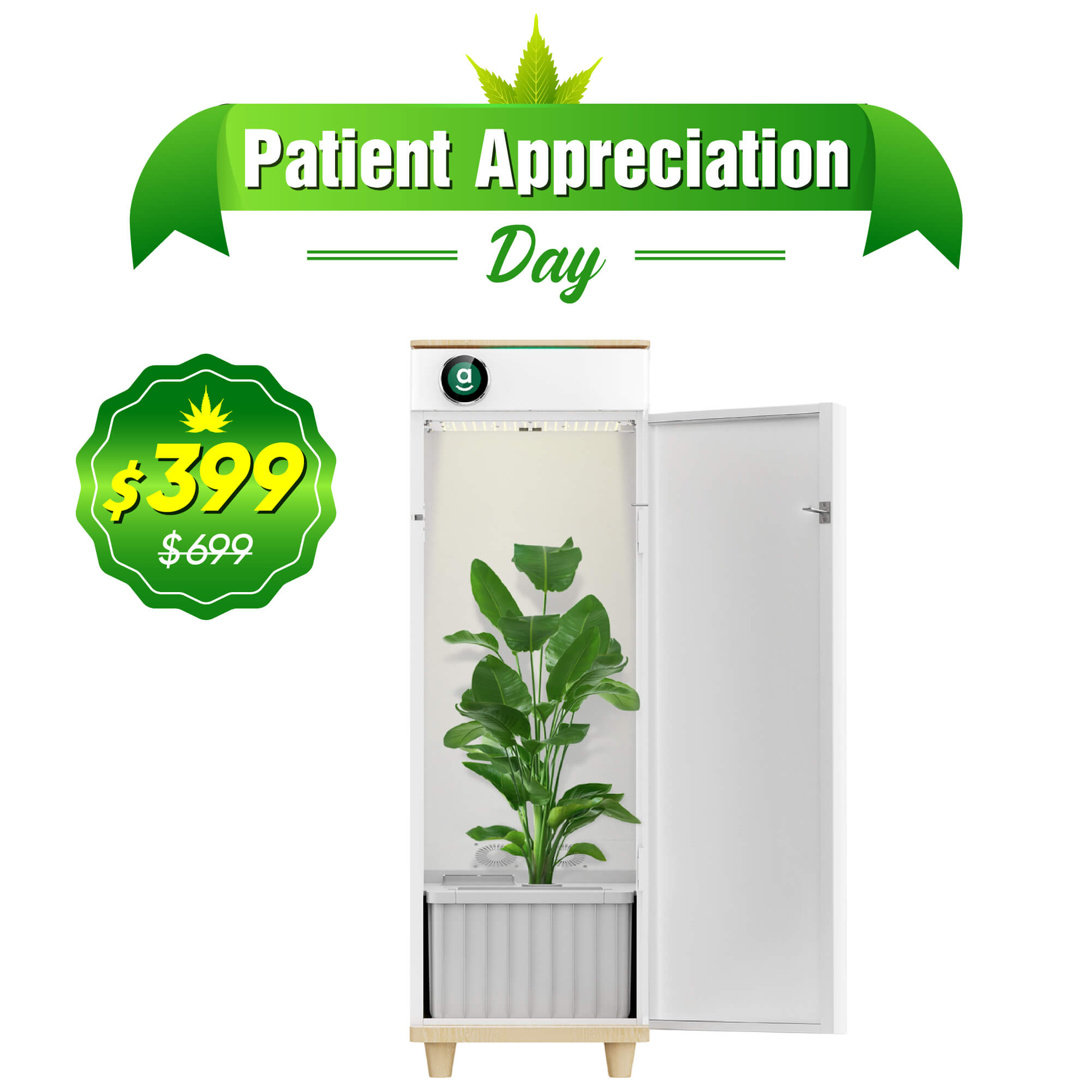 Grow Box for Sale up to 30% OFF | Shop Hey abby Holiday Deals