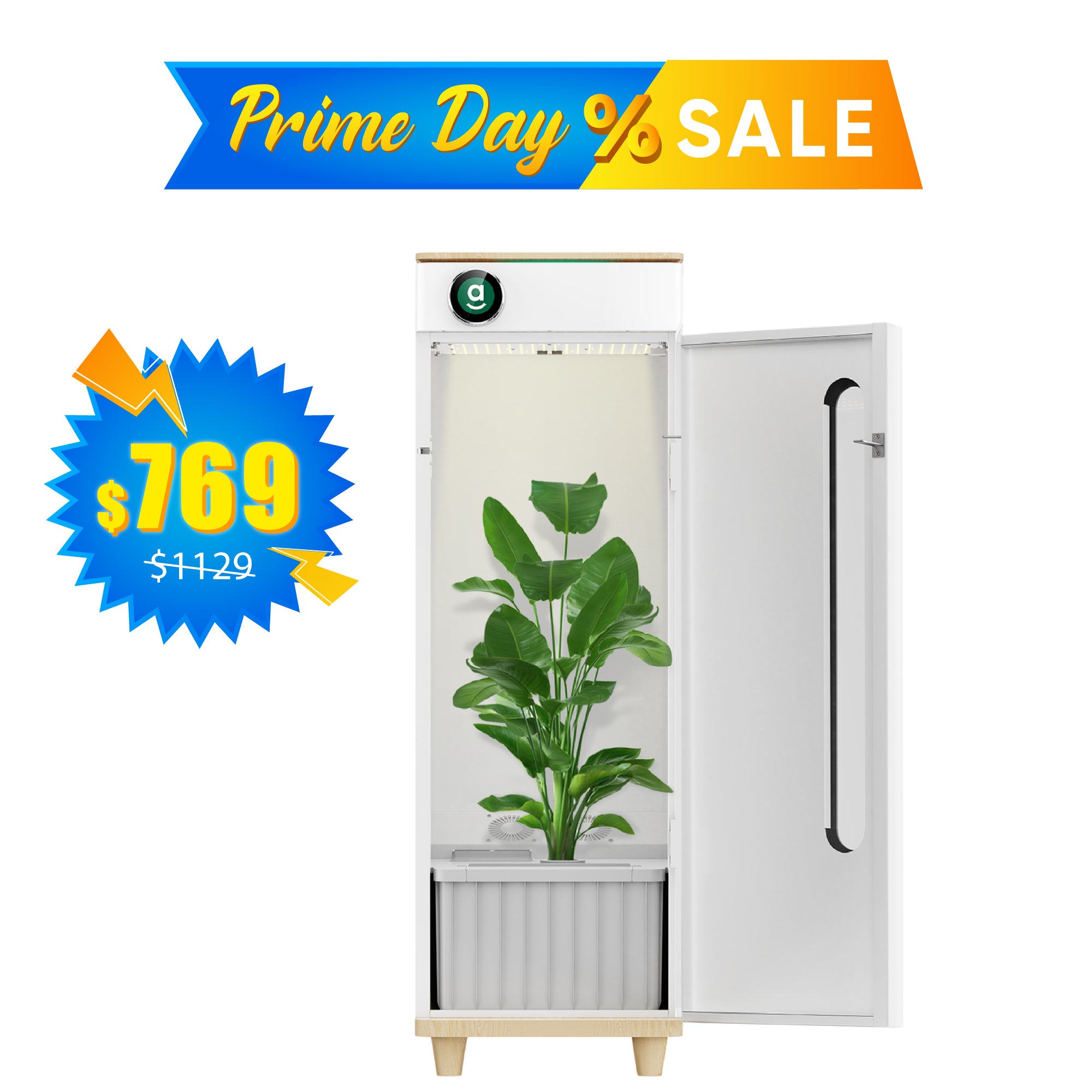 All About Weed Measurements: Weight Chart, Price and More – Hey abby